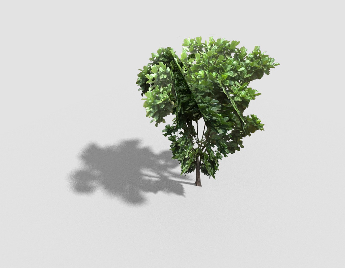 3d Model Games Tree