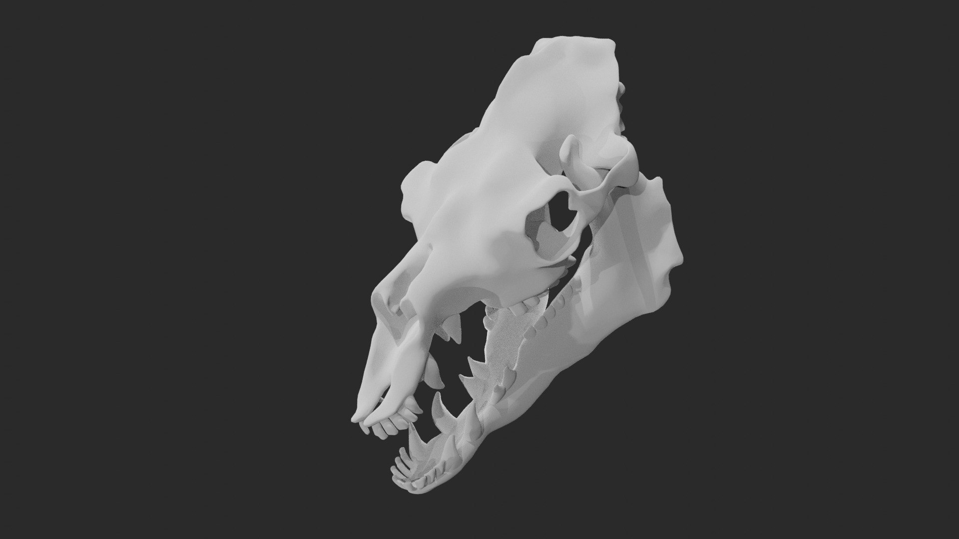 Camel Skull Camel skeleton 3D model - TurboSquid 1876537