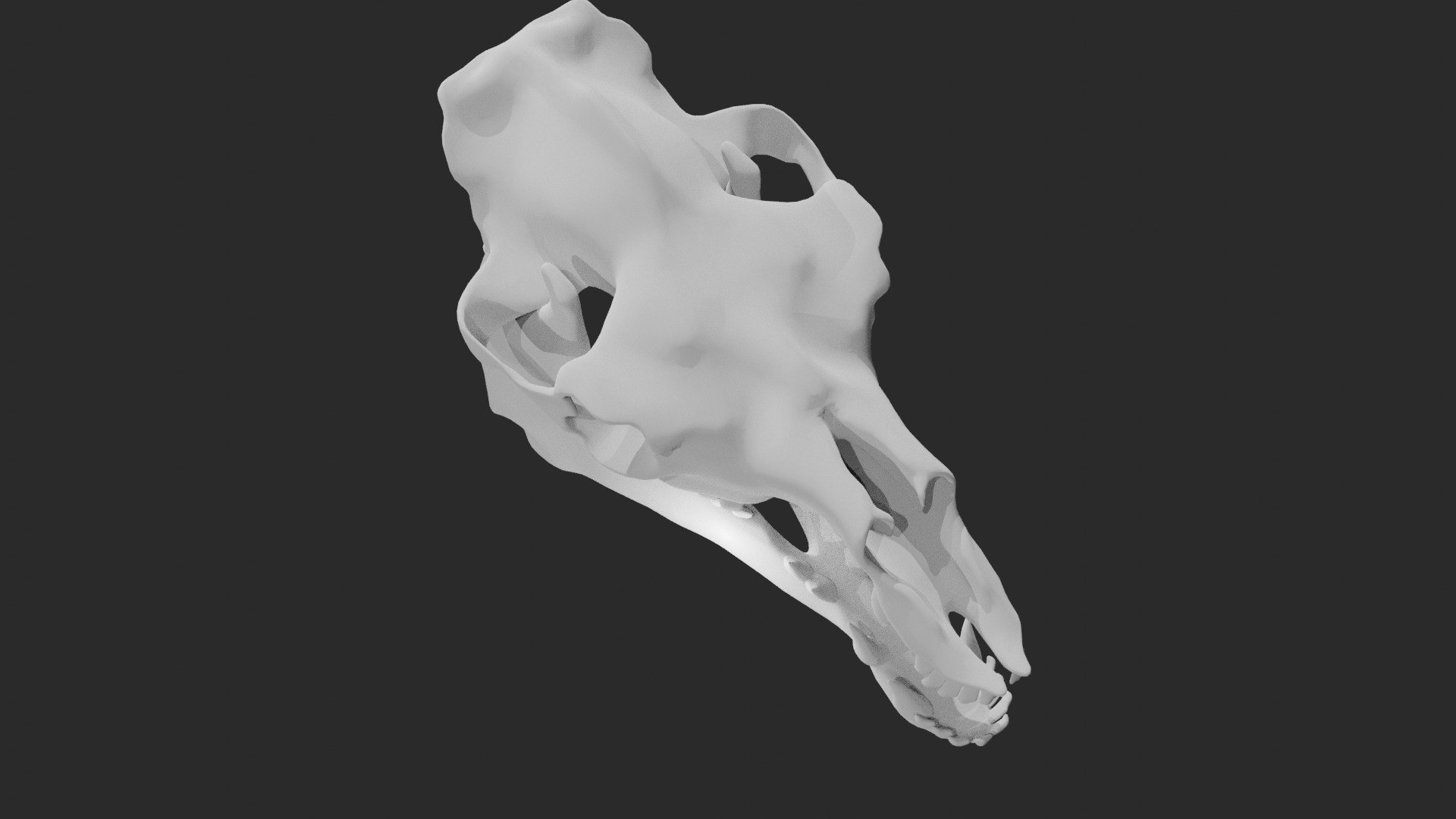 Camel Skull Camel skeleton 3D model - TurboSquid 1876537