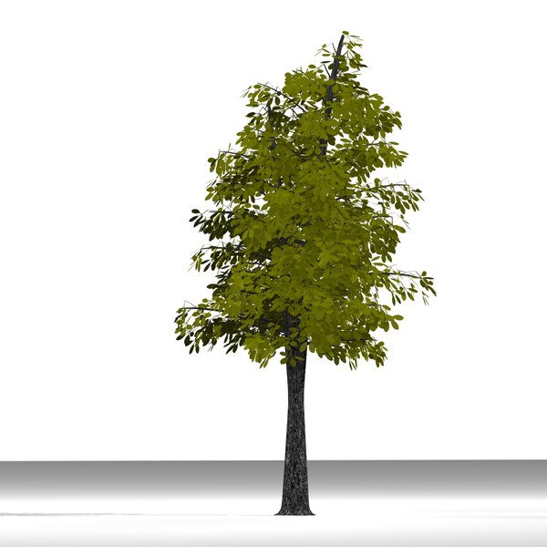 3d bush animations tree model