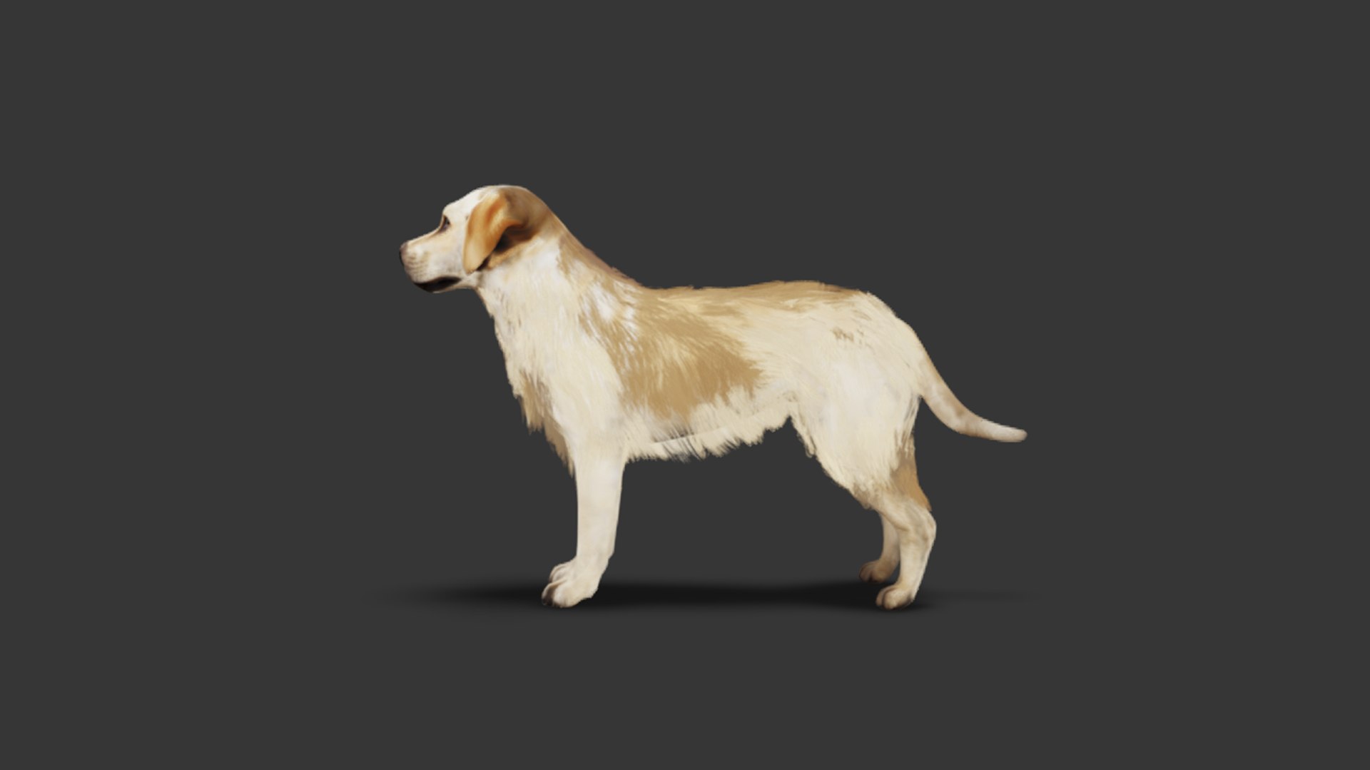 3D Realistic 3D Animated Dog Model - TurboSquid 2473109