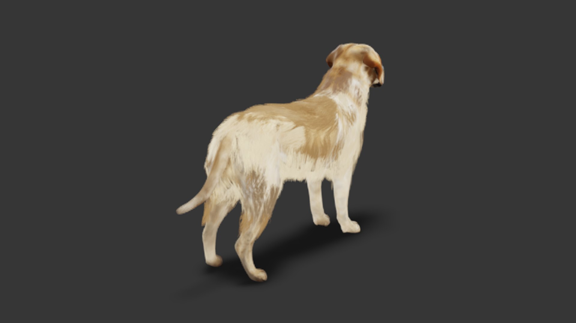 3D Realistic 3D Animated Dog Model - TurboSquid 2473109
