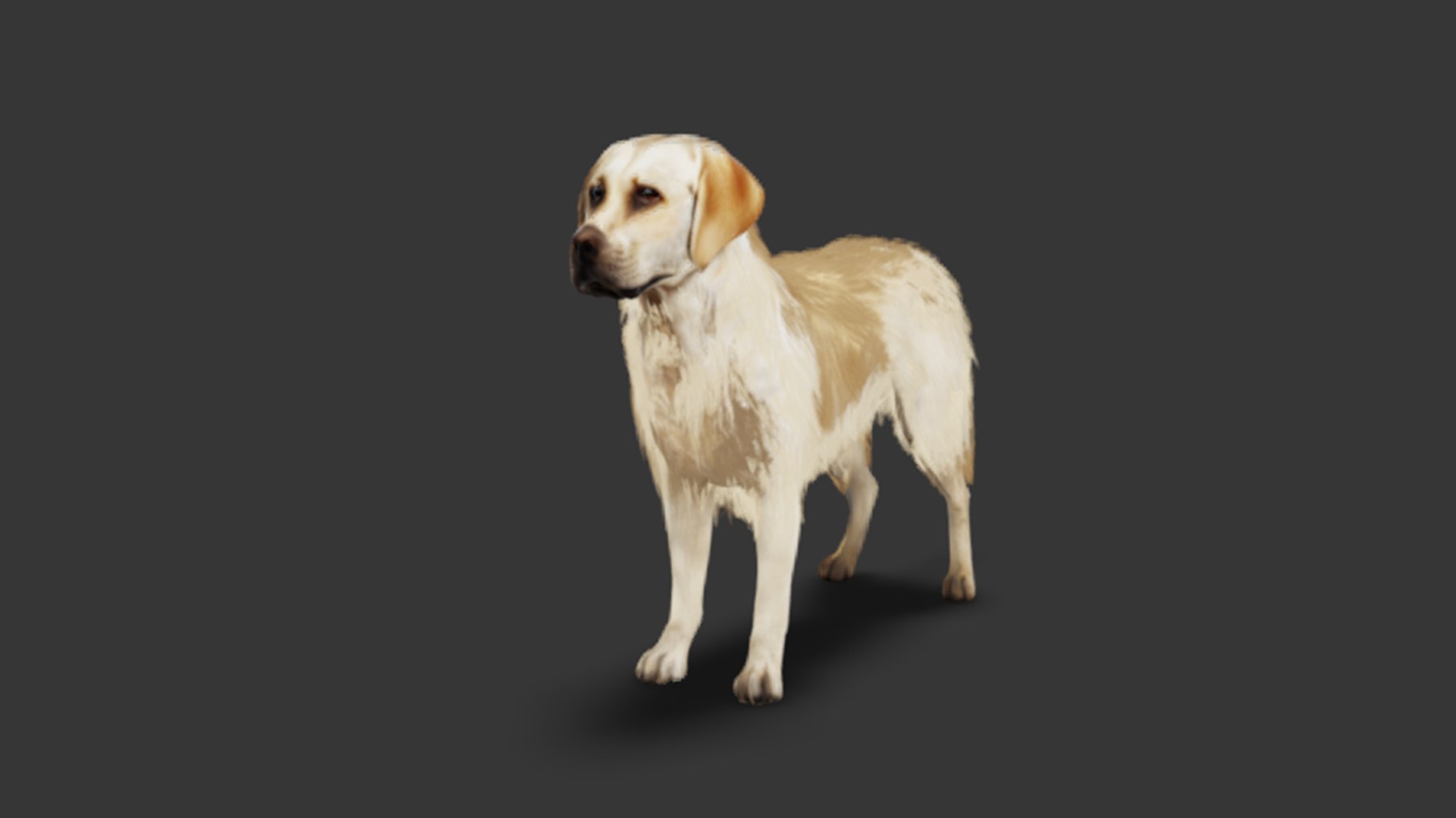 3D Realistic 3D Animated Dog Model - TurboSquid 2473109
