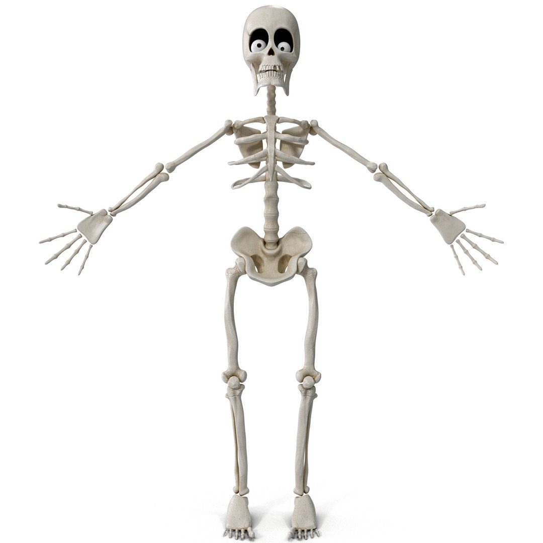 3d cartoon skeleton