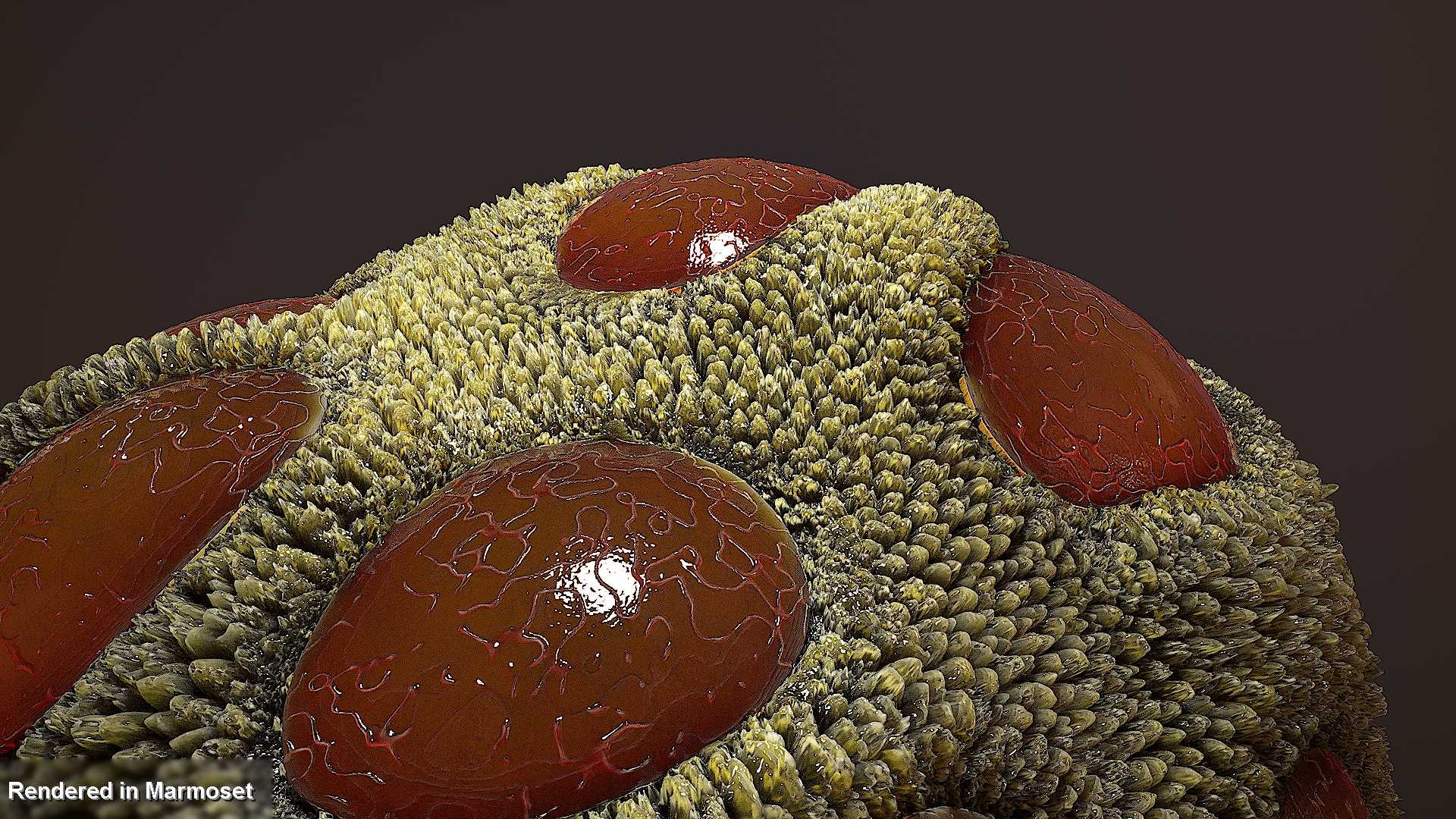 Organic Cluster Cell Structure 3D Model - TurboSquid 1877443