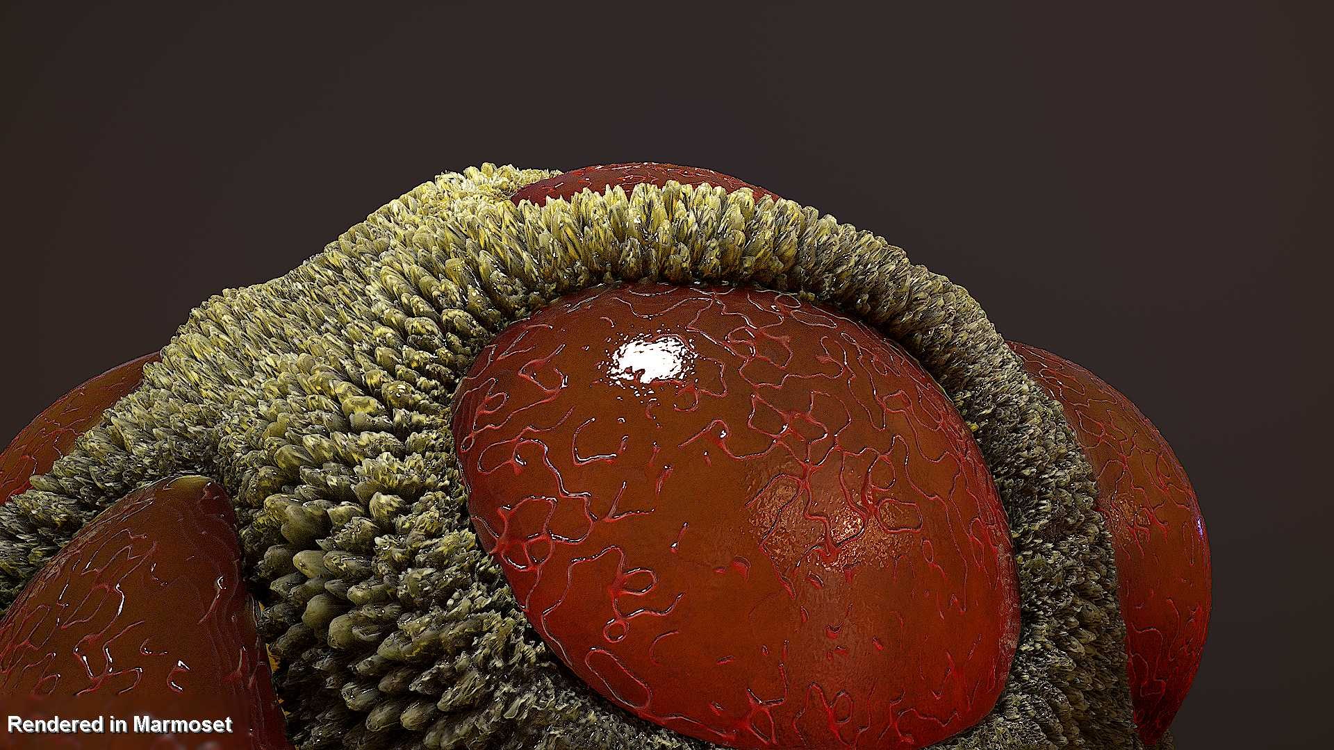 Organic Cluster Cell Structure 3D Model - TurboSquid 1877443