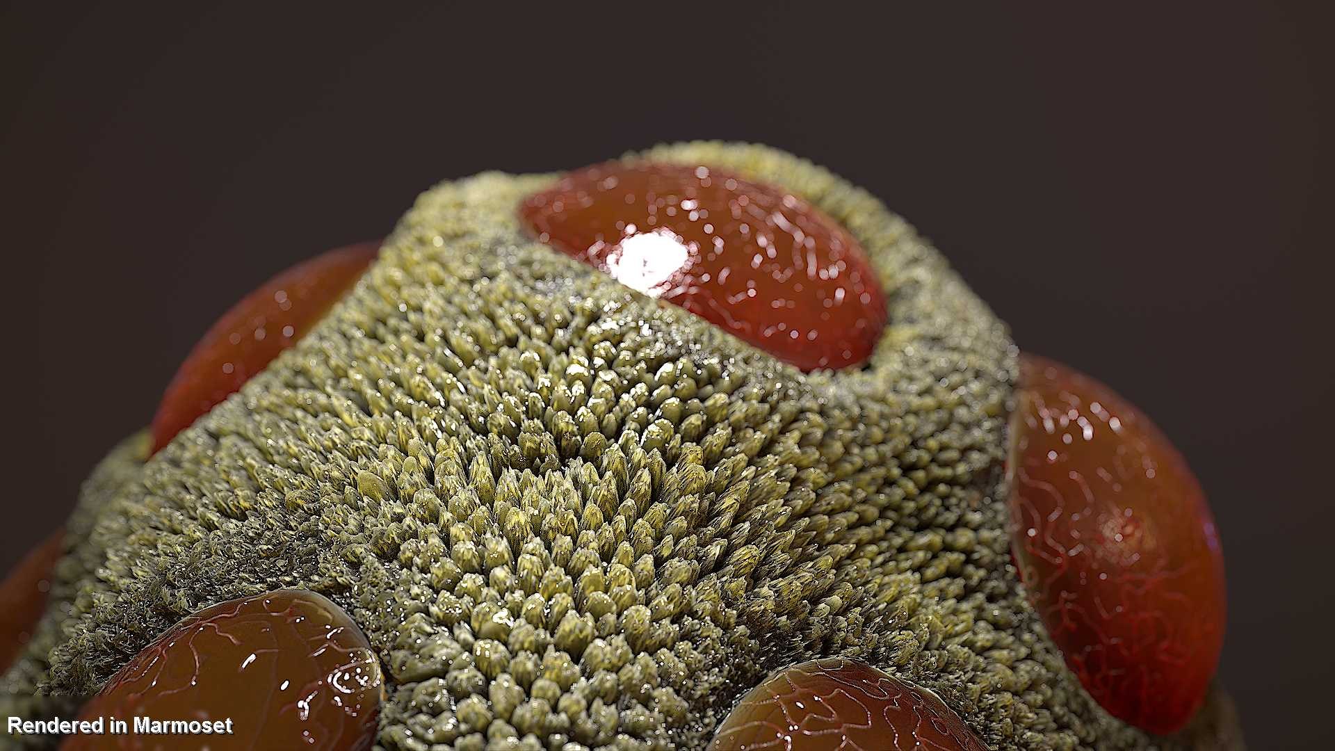 Organic Cluster Cell Structure 3D Model - TurboSquid 1877443