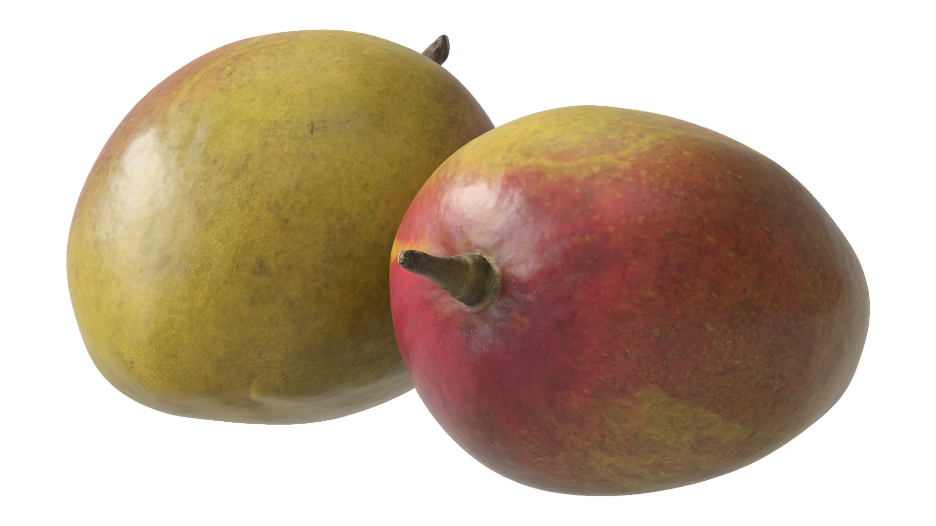 Mango Model - TurboSquid 1962122