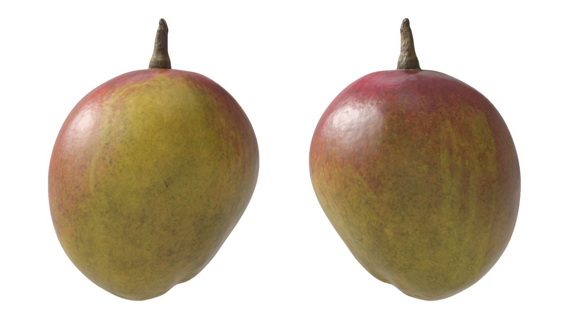 Mango Model - TurboSquid 1962122