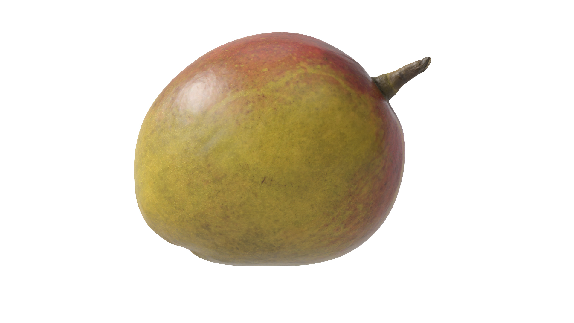 Mango Model - TurboSquid 1962122