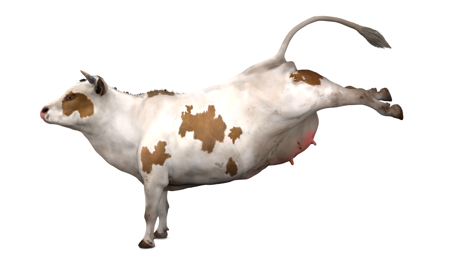 3D Cow Animated Model - TurboSquid 2117793