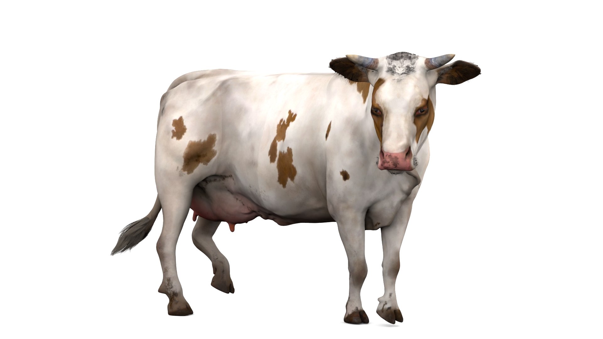 3D Cow Animated Model - TurboSquid 2117793