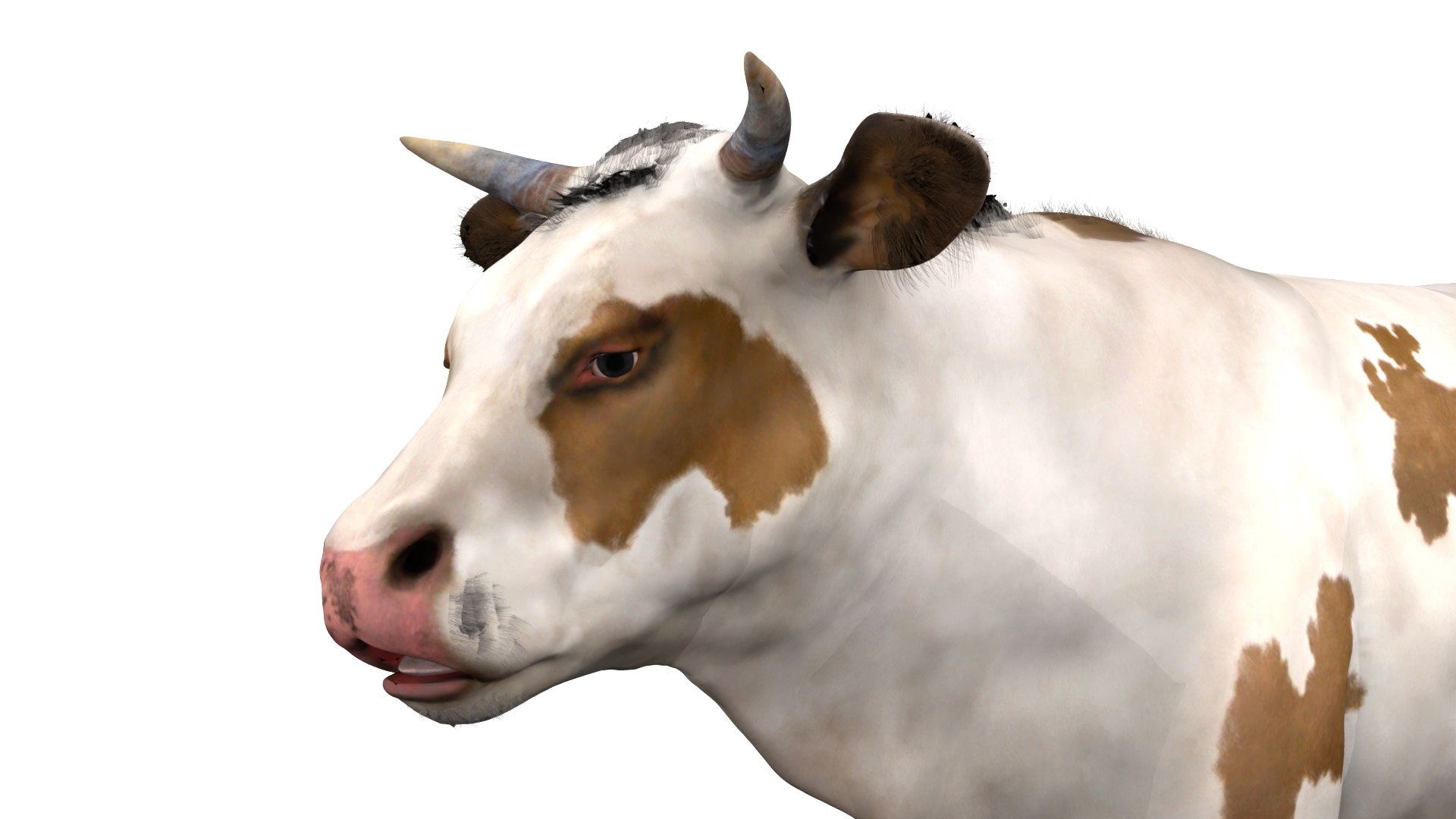 3D Cow Animated Model - TurboSquid 2117793