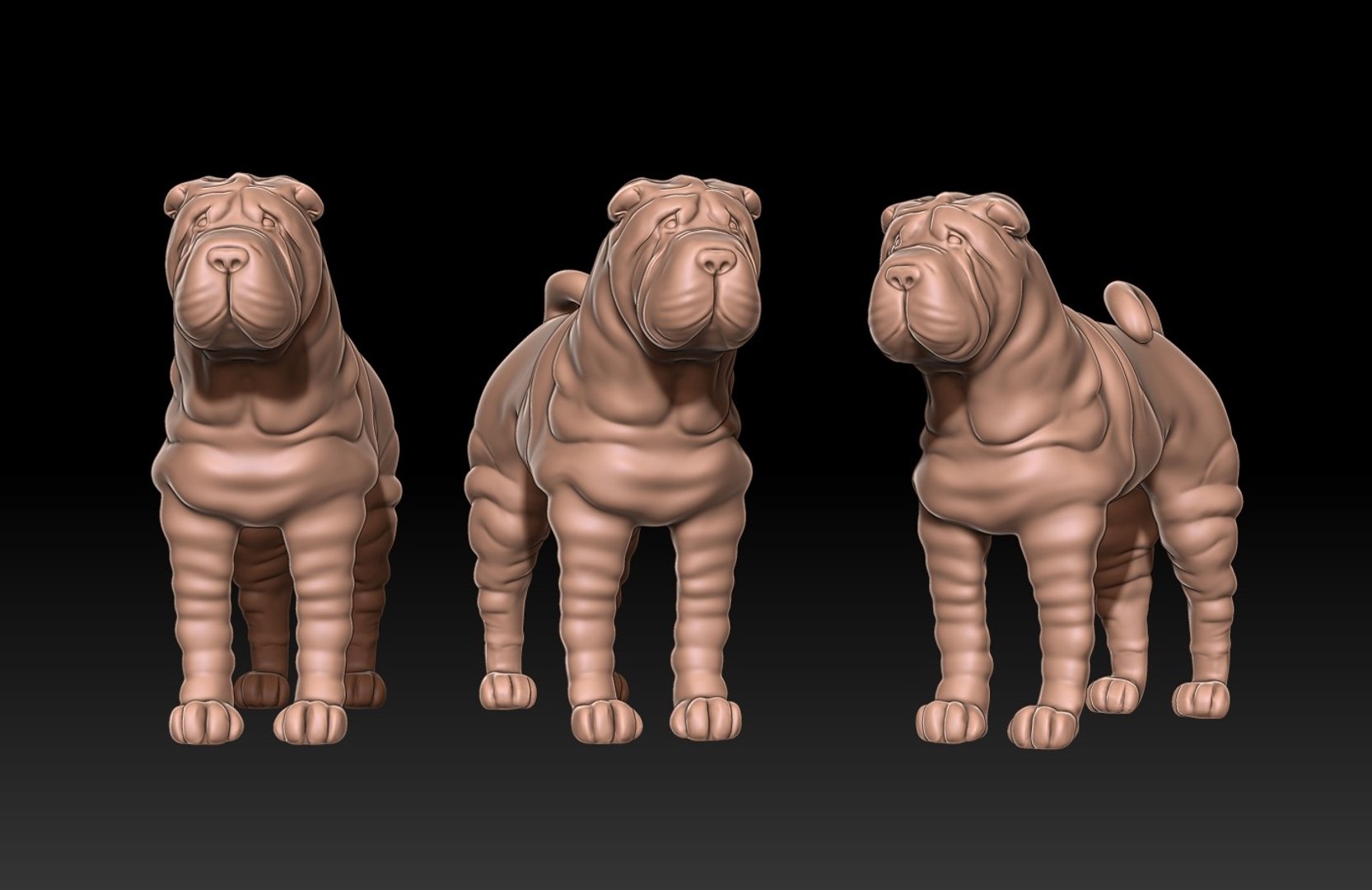 Shar Pei Figurine 3D Model - TurboSquid 1740784