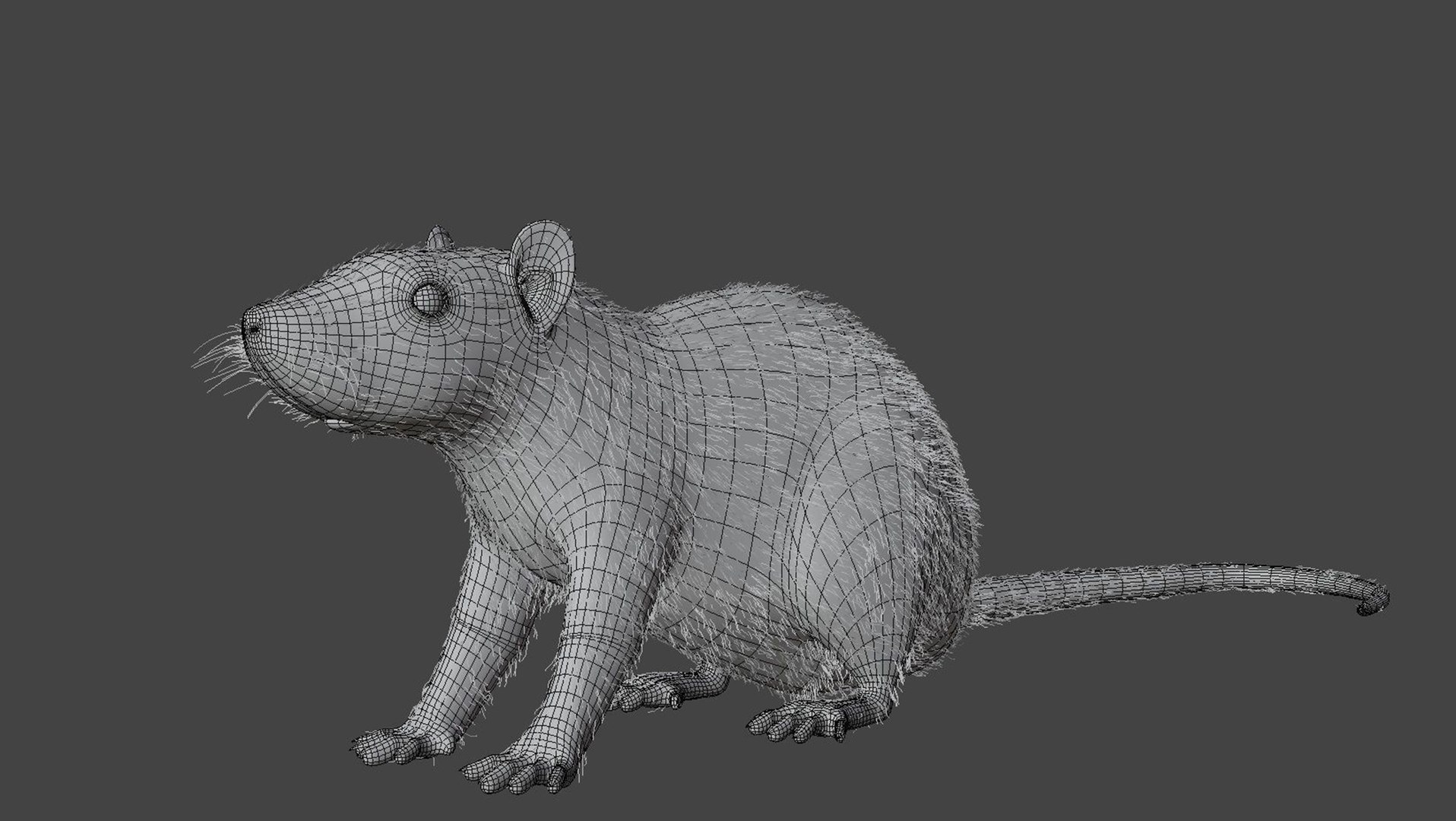 Rat Rigged 3D Model - TurboSquid 2024958