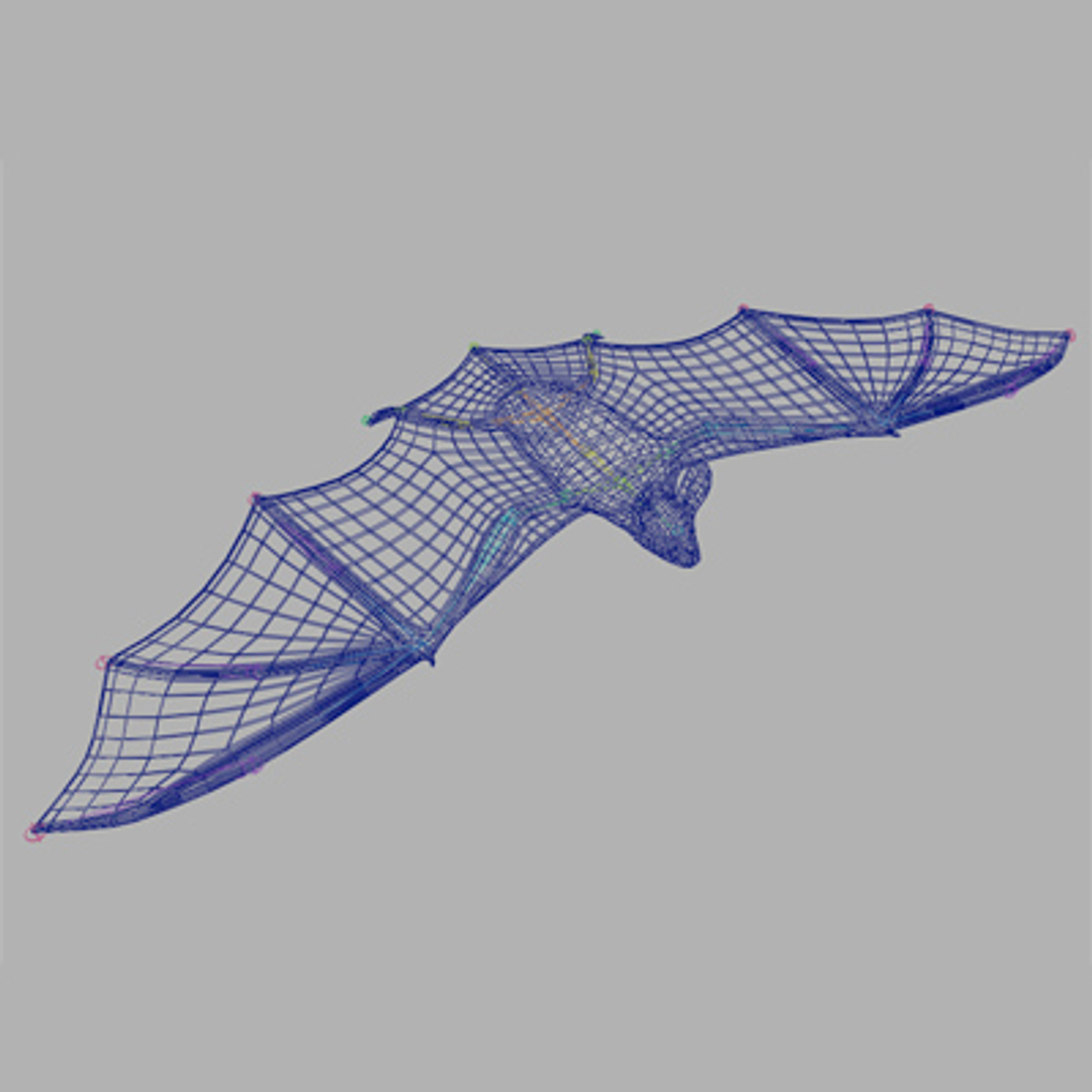 3d vampire bat model