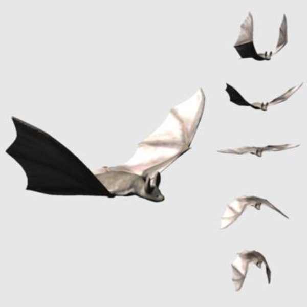 3d vampire bat model