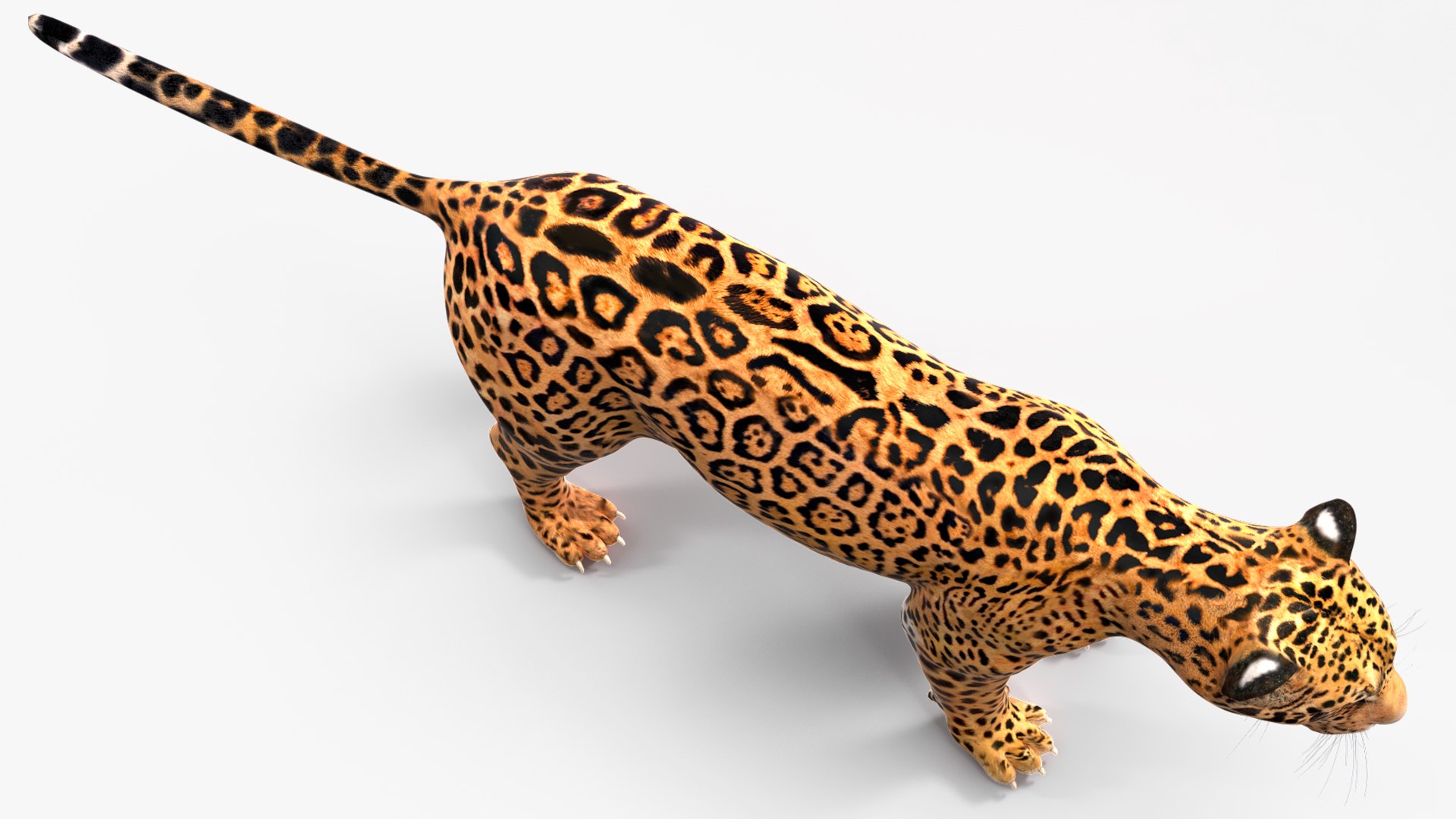 Jaguar 3D Model - TurboSquid 2217497