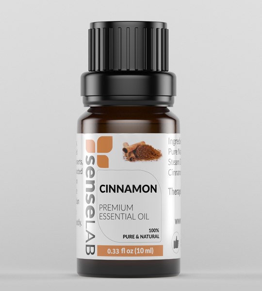 3D Cinnamon Models | TurboSquid