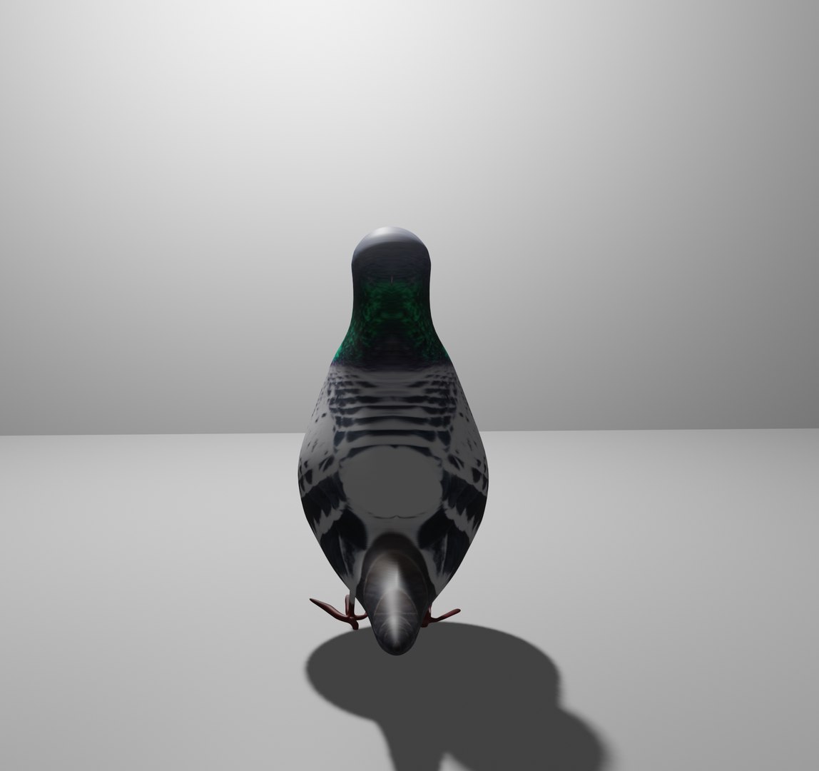 Realistic Pigeon 3D - TurboSquid 1953763