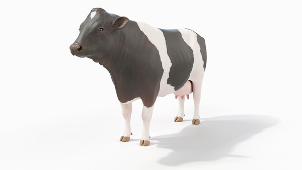 Cow Body Skeleton and Muscles Static model - TurboSquid 1893510
