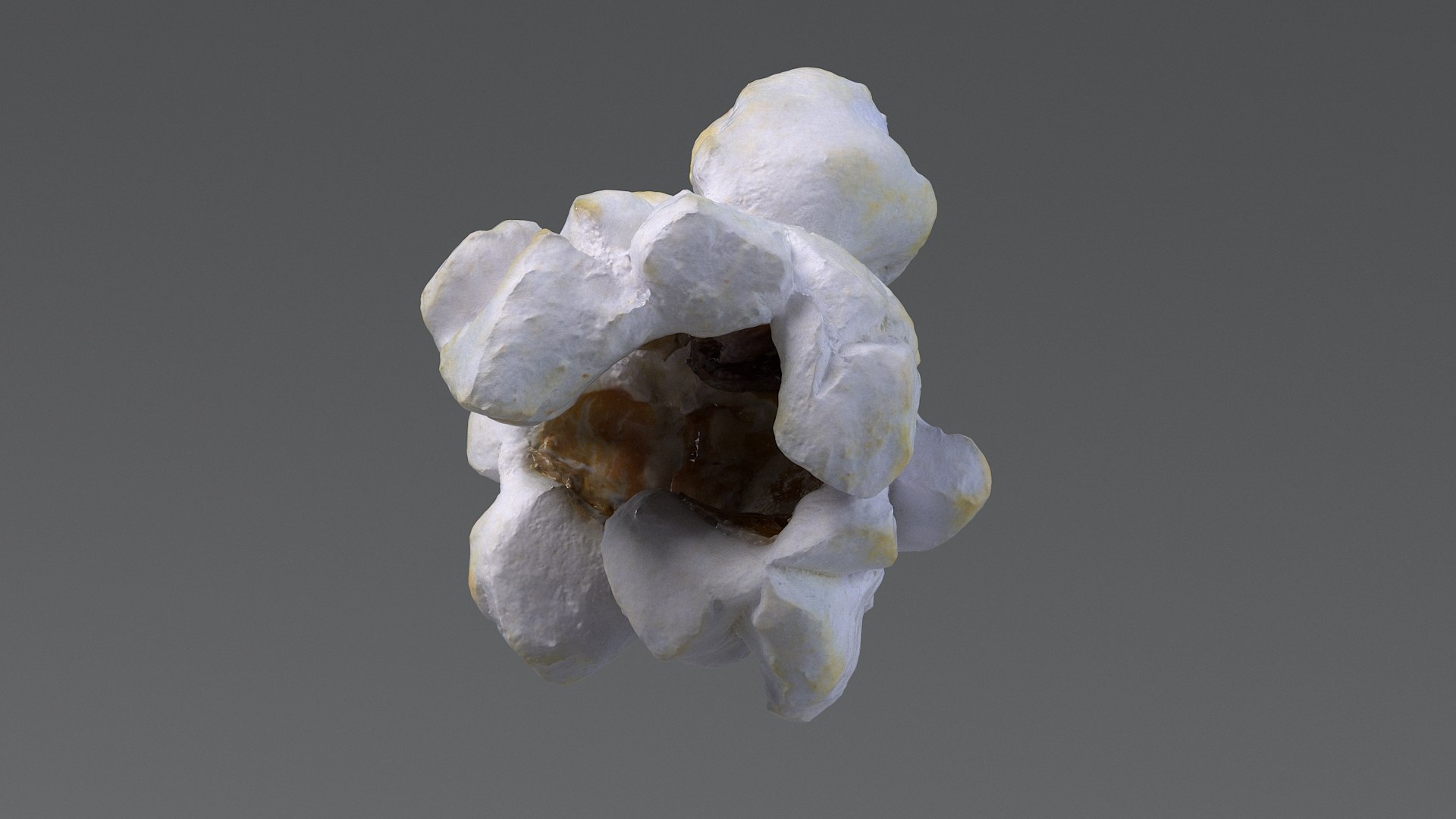 Realistic Popcorn 01 3D Model - TurboSquid 1824226