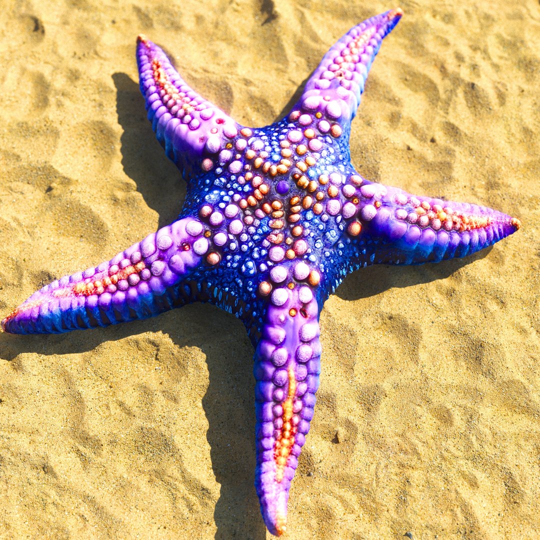 Starfish Pack Model - TurboSquid 2181039