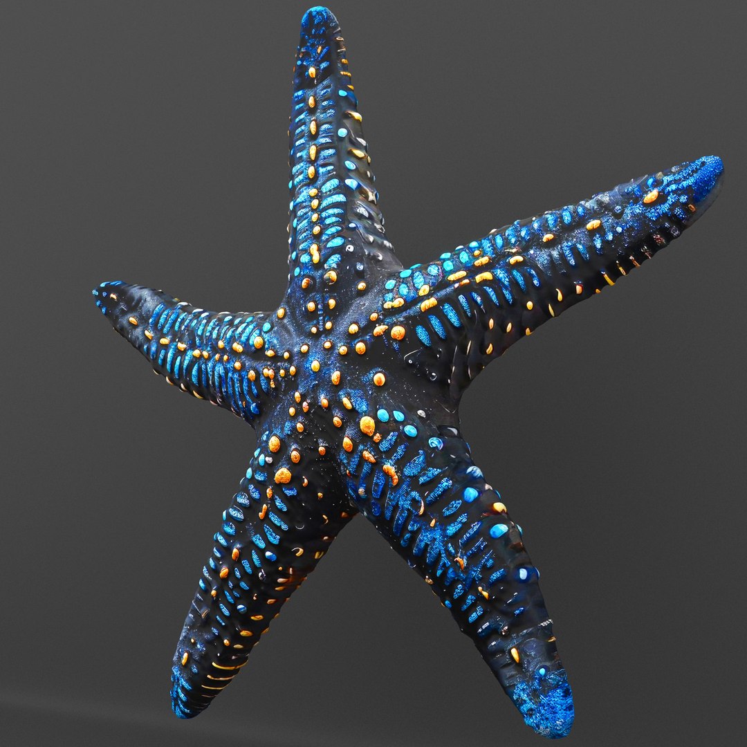 Starfish Pack Model - TurboSquid 2181039