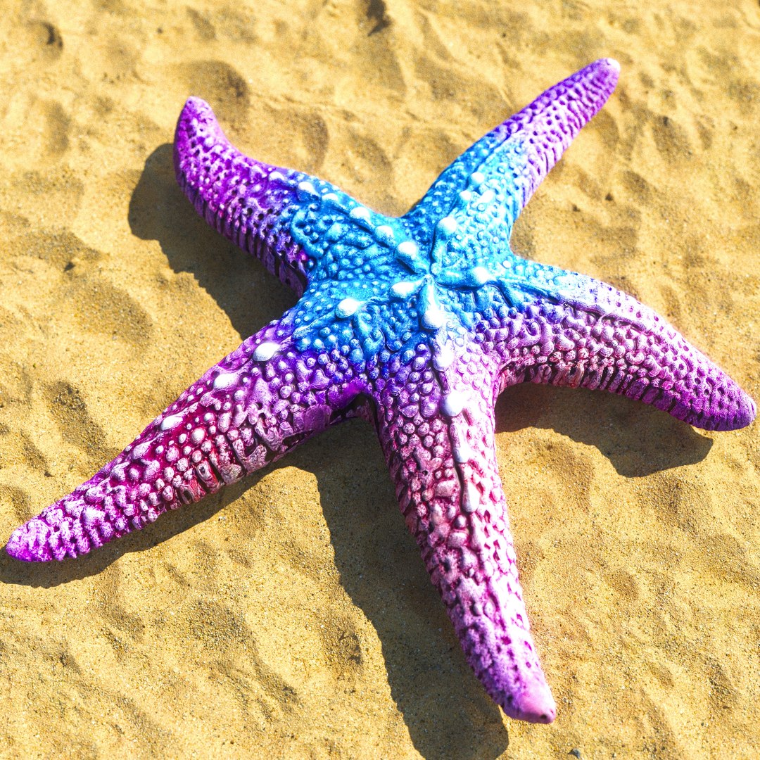 Starfish Pack Model - TurboSquid 2181039