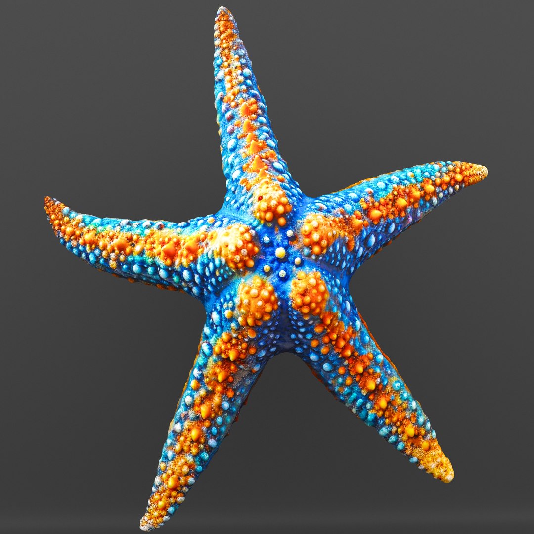 Starfish Pack Model - TurboSquid 2181039