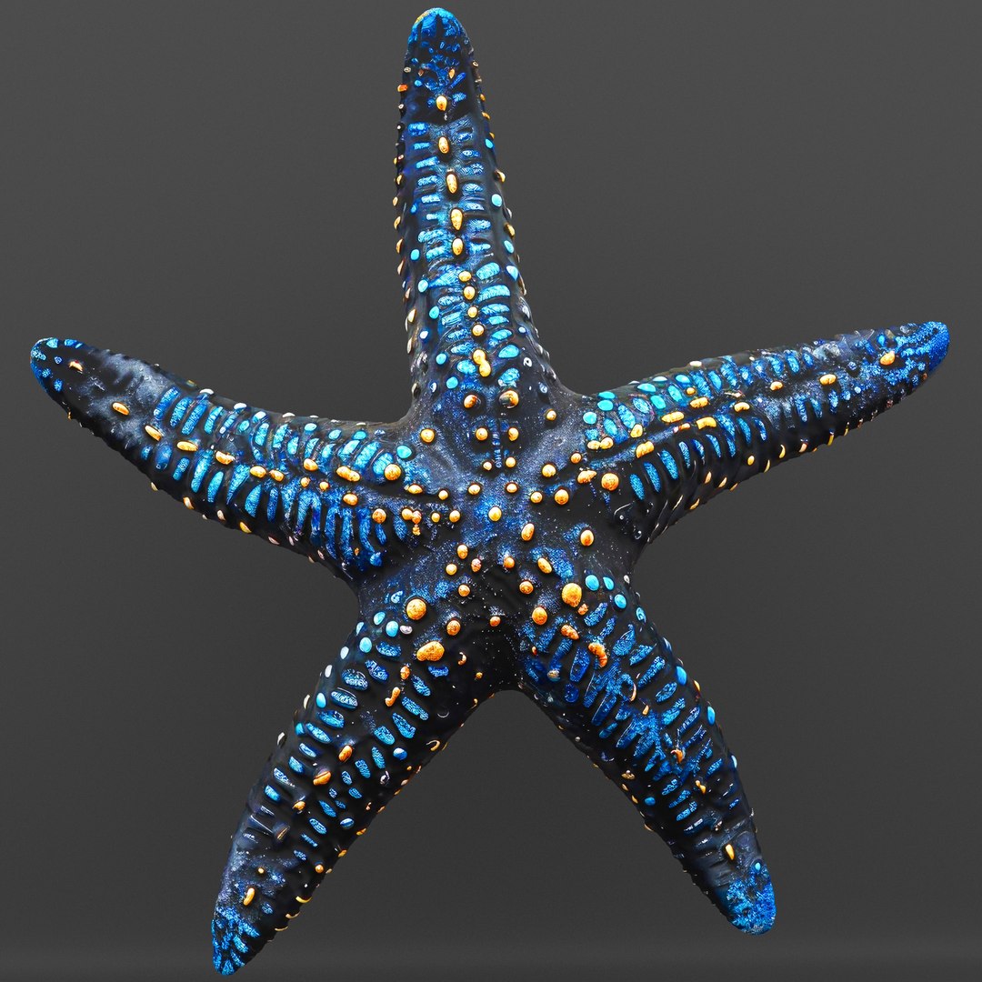 Starfish Pack Model - TurboSquid 2181039