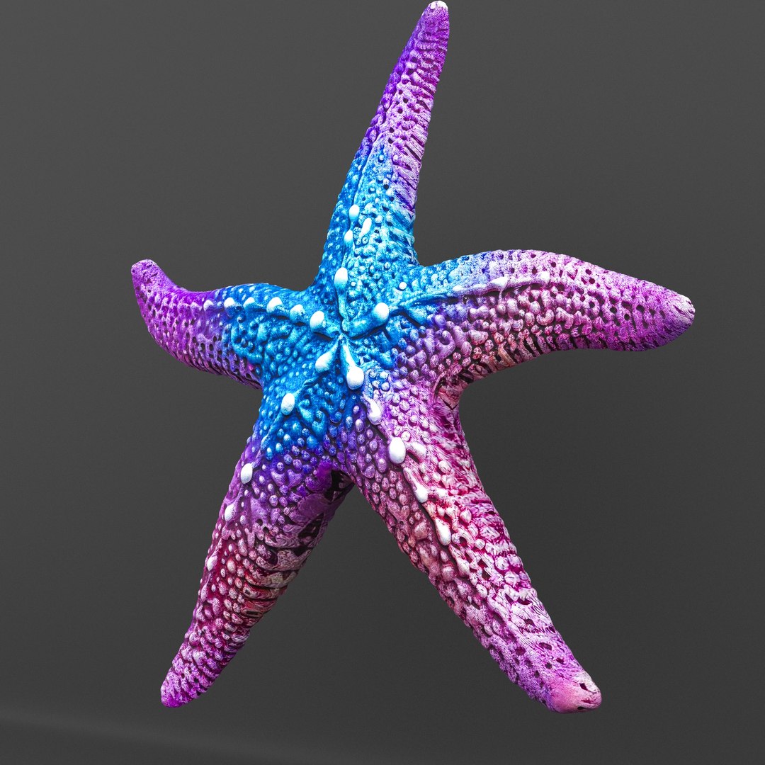 Starfish Pack Model - TurboSquid 2181039