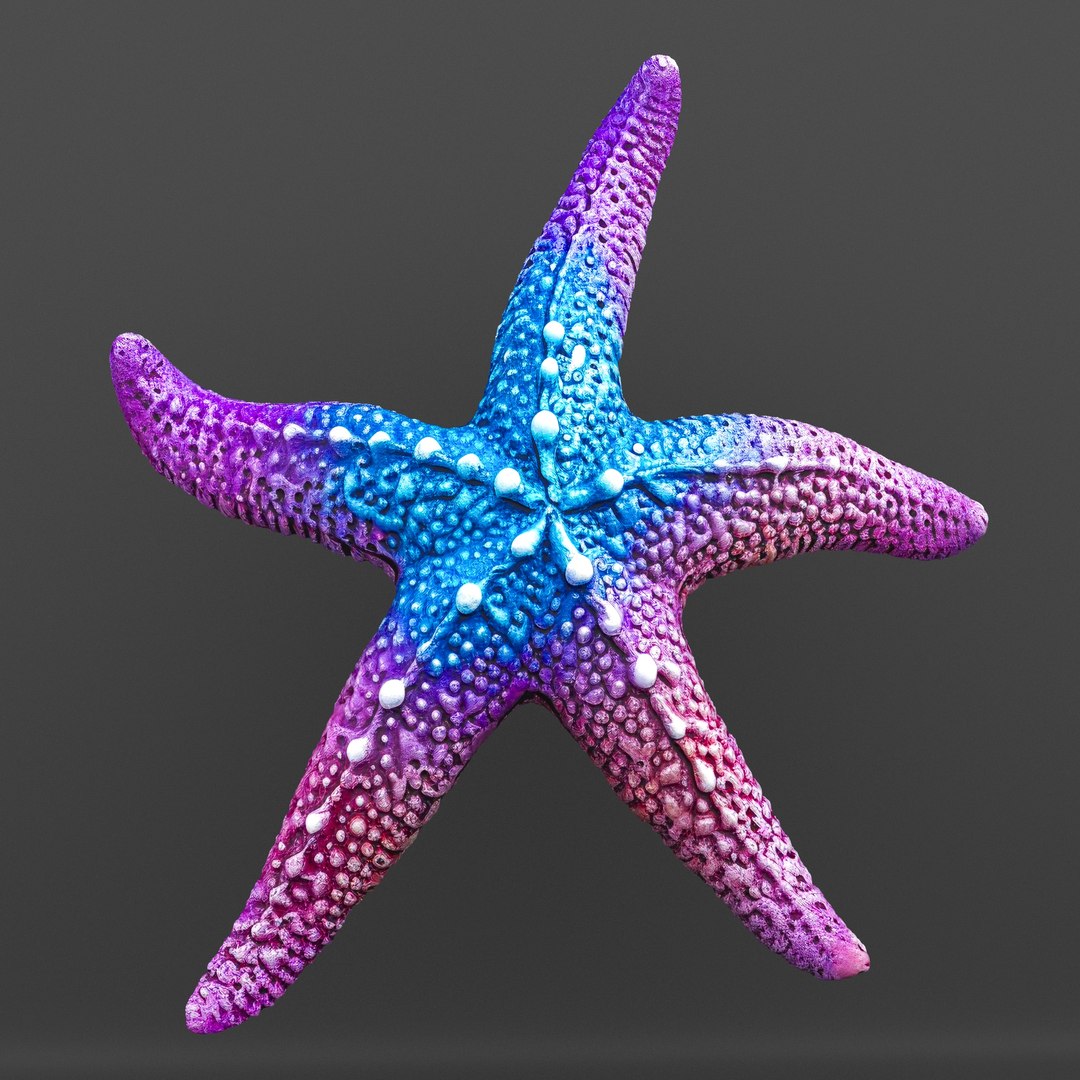 Starfish Pack Model - TurboSquid 2181039