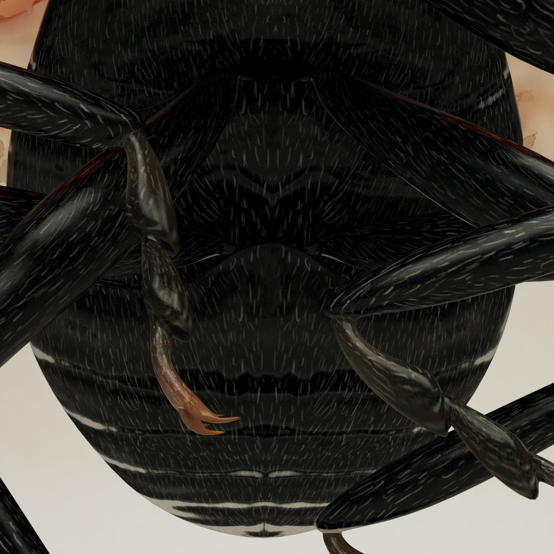 ladybug poses 3d max