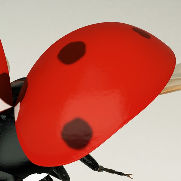 ladybug poses 3d max