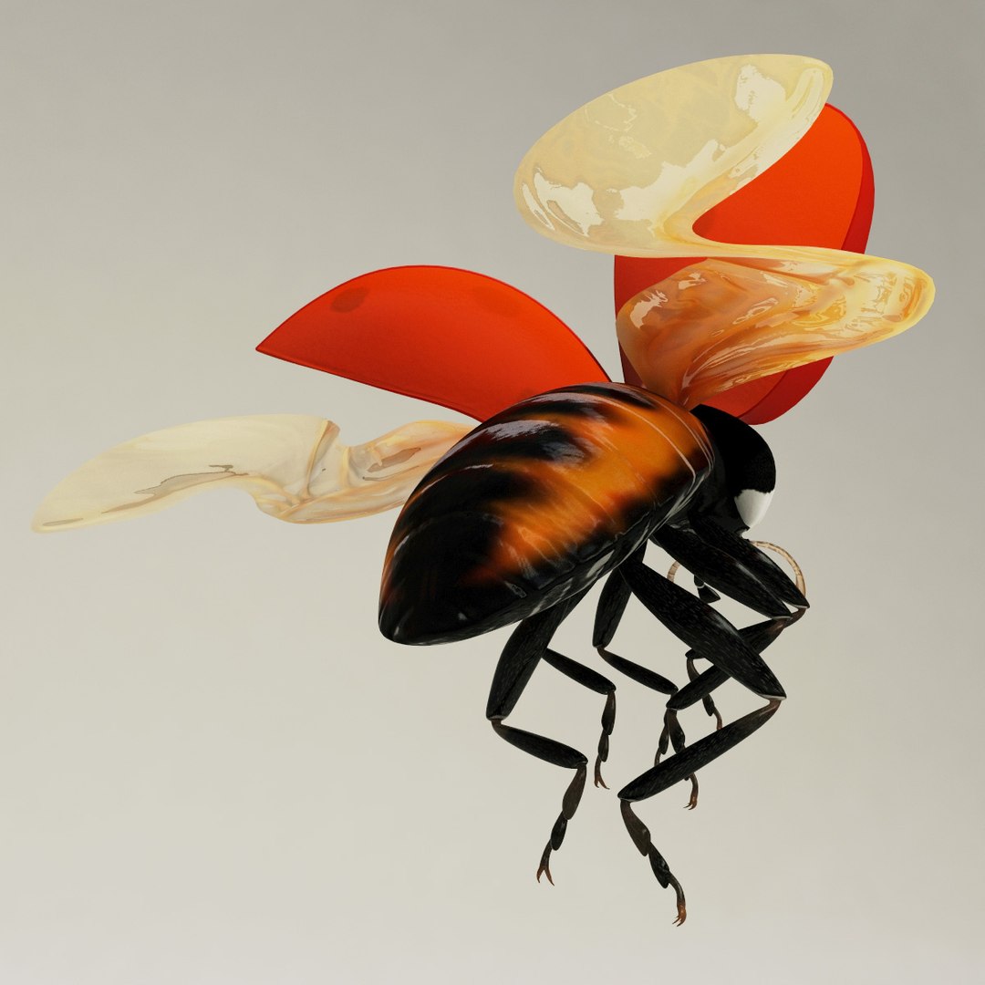 ladybug poses 3d max