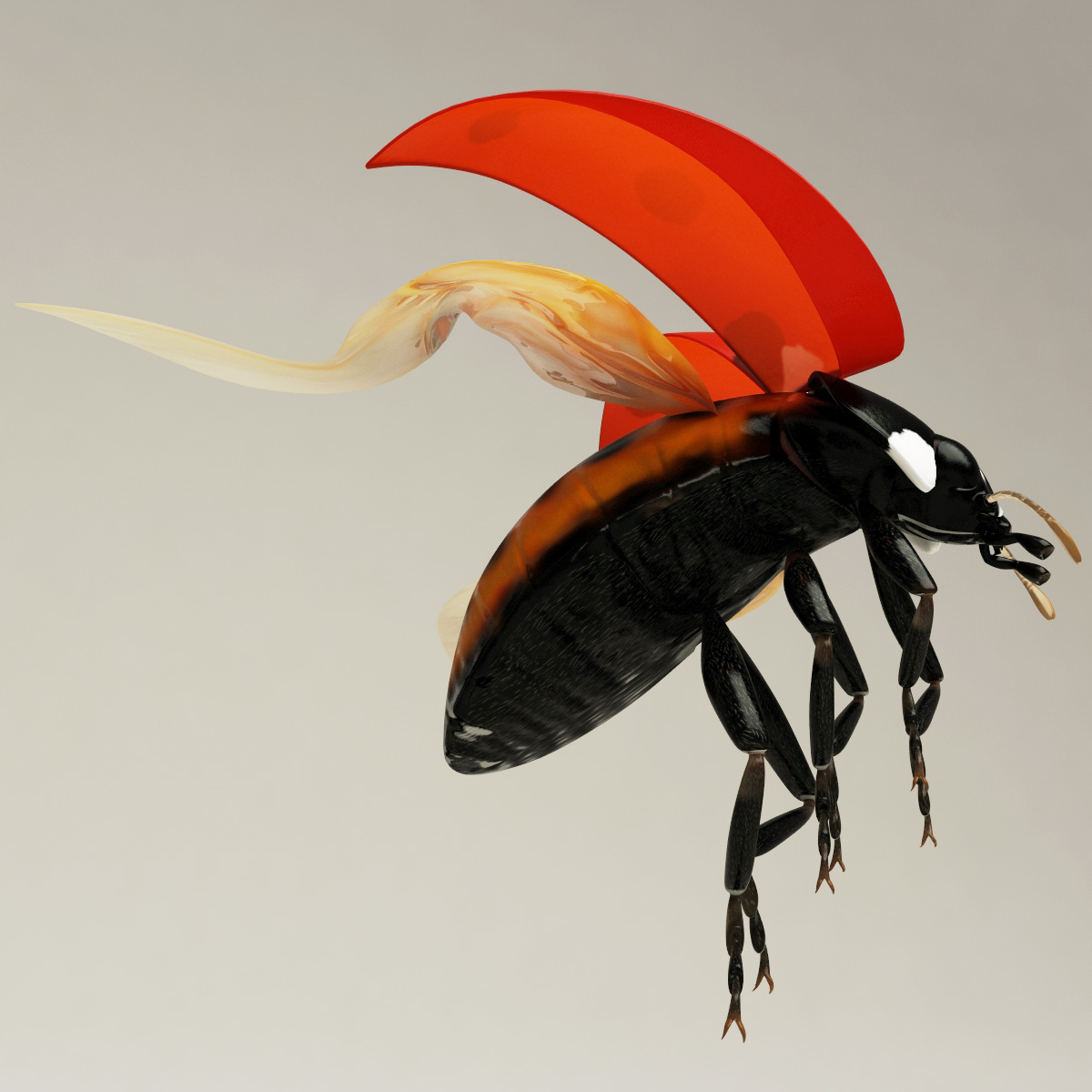 ladybug poses 3d max