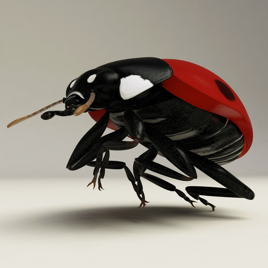 ladybug poses 3d max