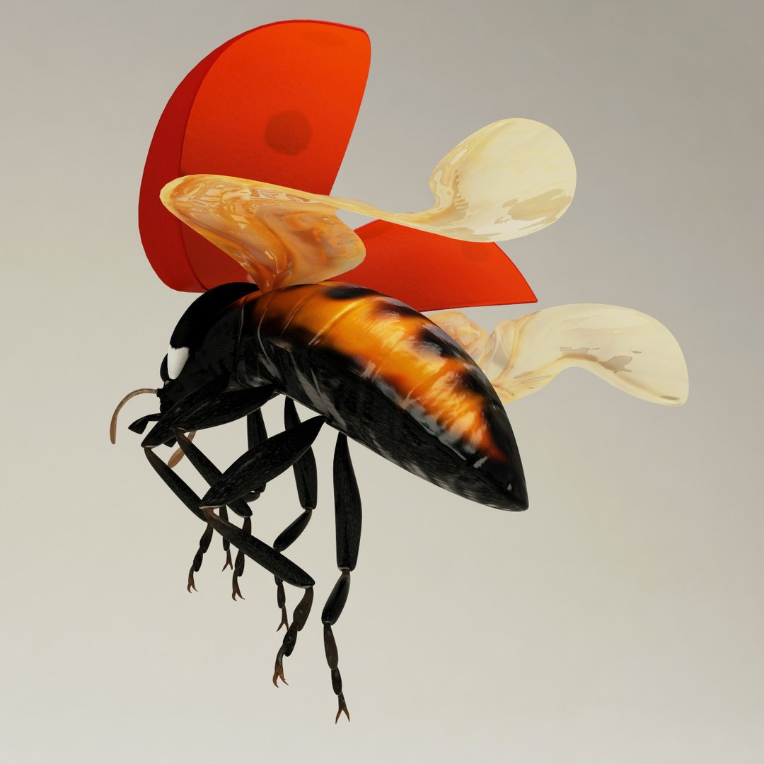 ladybug poses 3d max