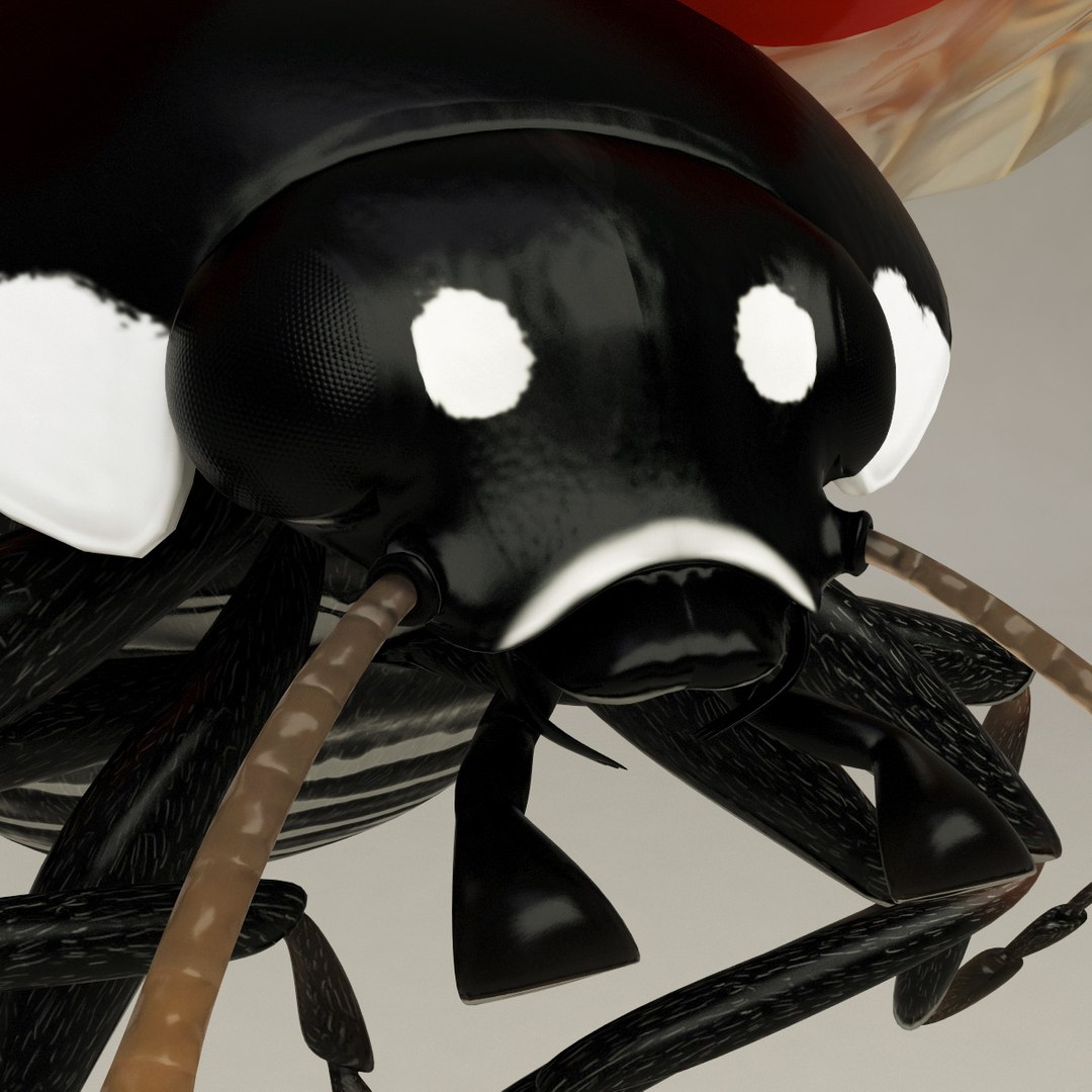 ladybug poses 3d max