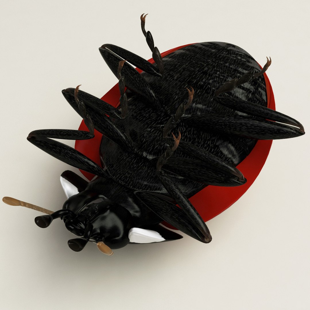 ladybug poses 3d max