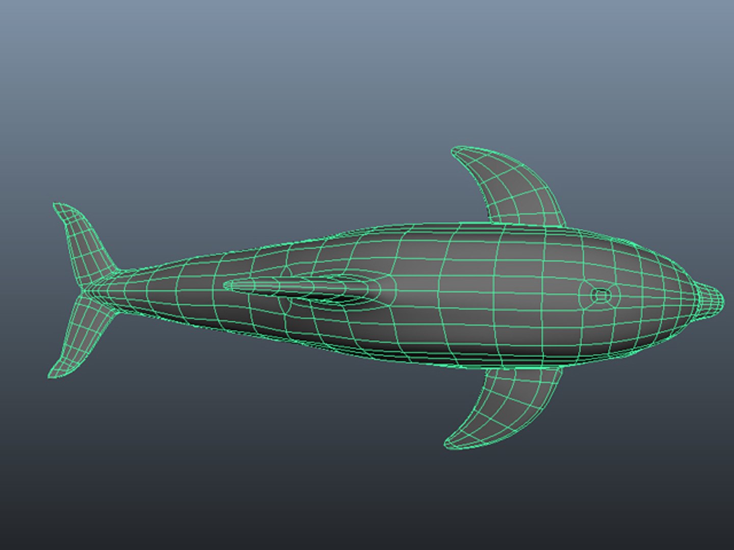 3d Dolphin Model