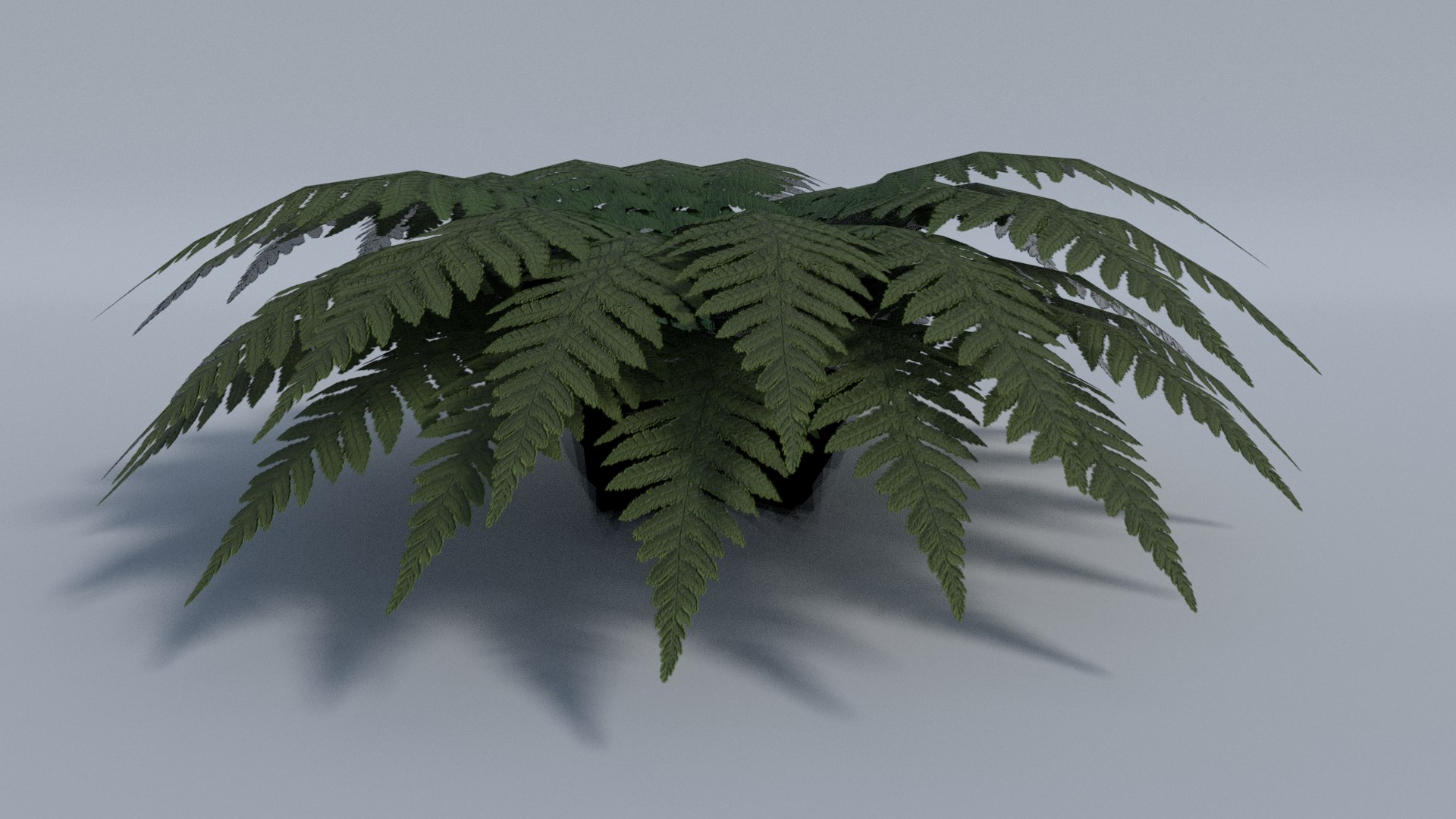 realistic fern plant - 3d obj