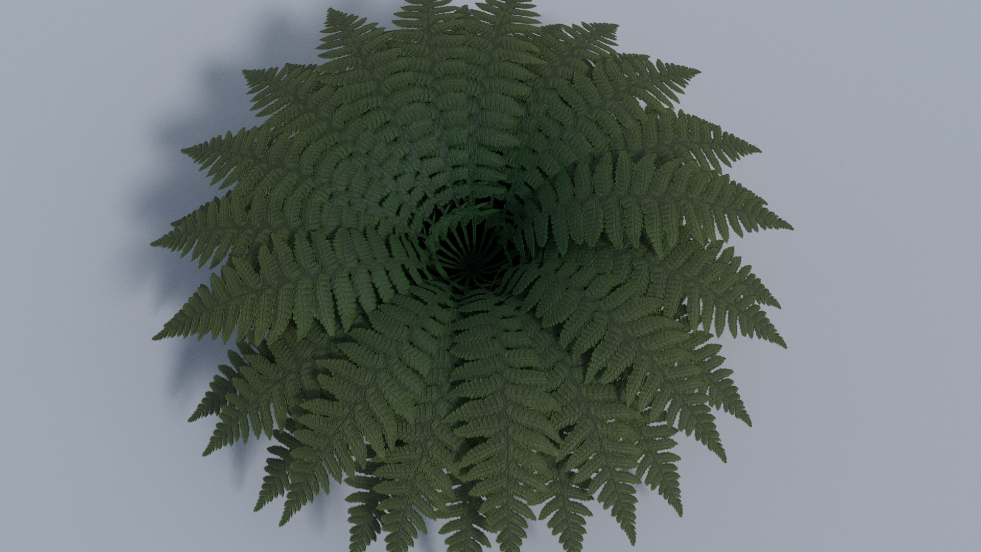realistic fern plant - 3d obj