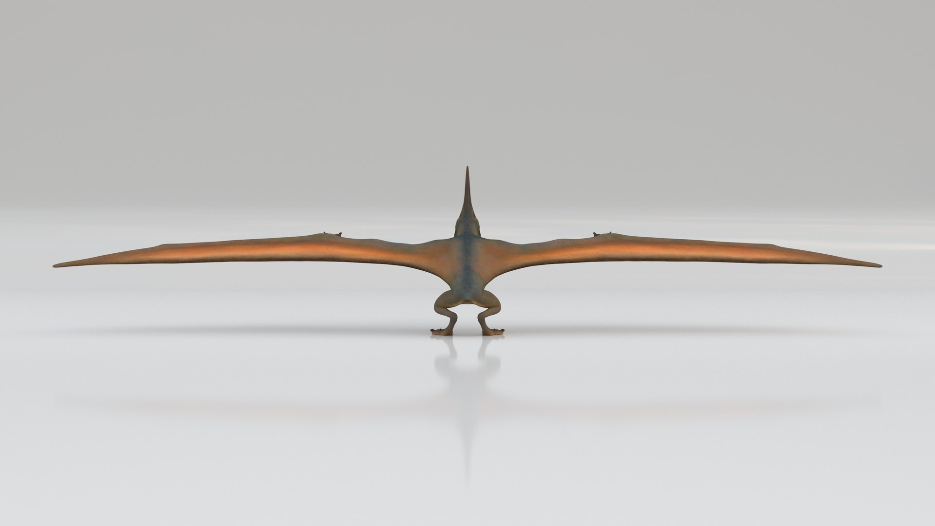 3D Pteranodon ANIMATED - TurboSquid 1986562