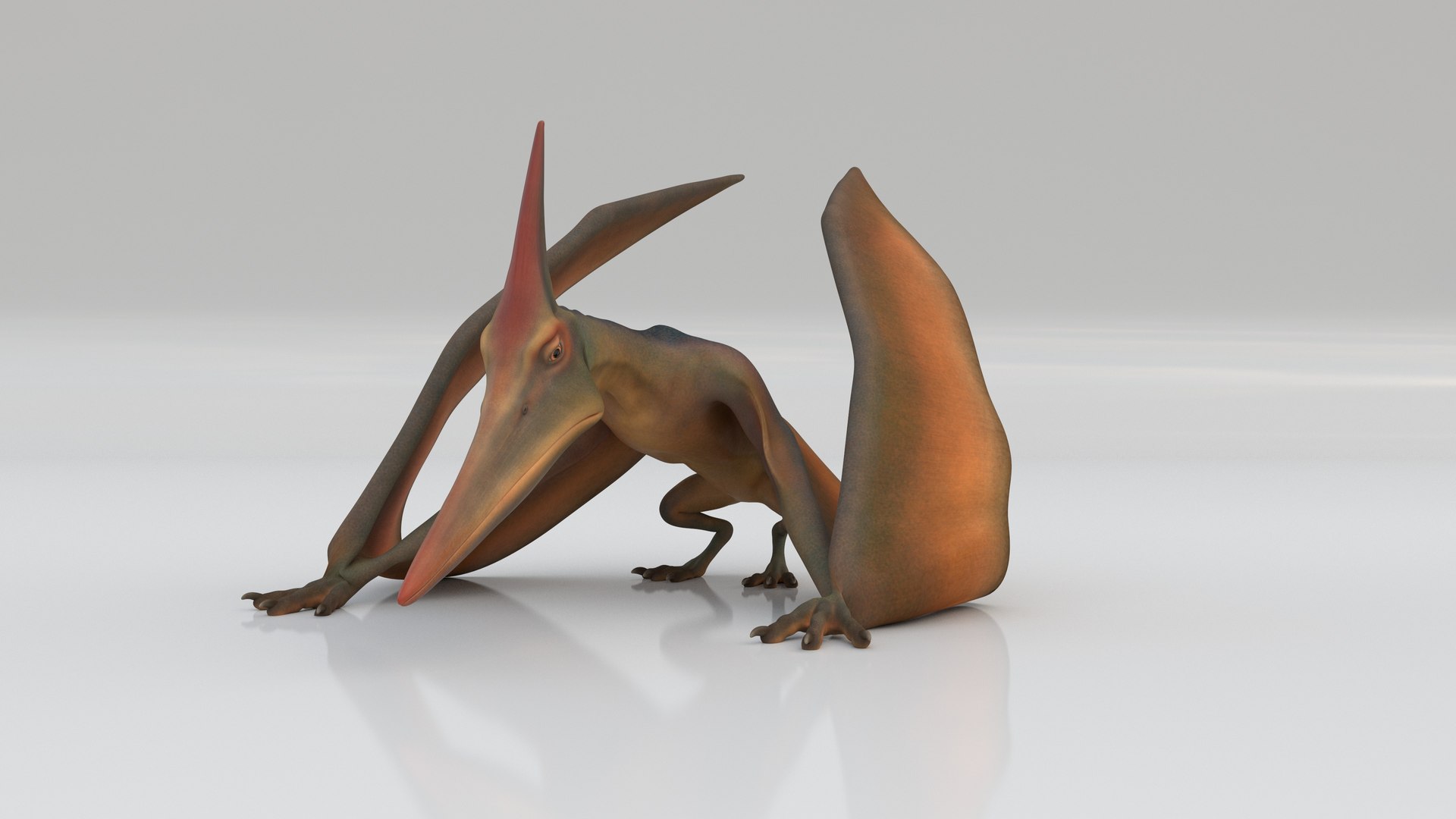 3D Pteranodon ANIMATED - TurboSquid 1986562