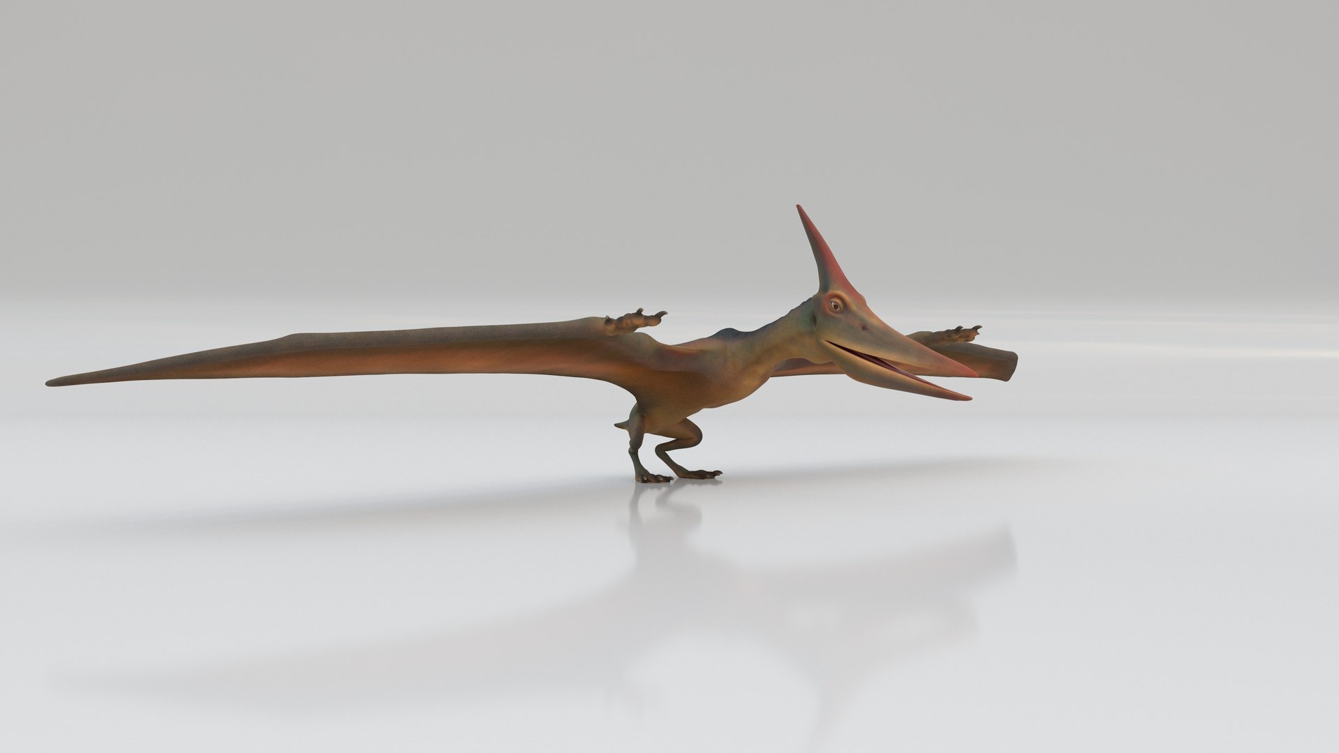 3D Pteranodon ANIMATED - TurboSquid 1986562