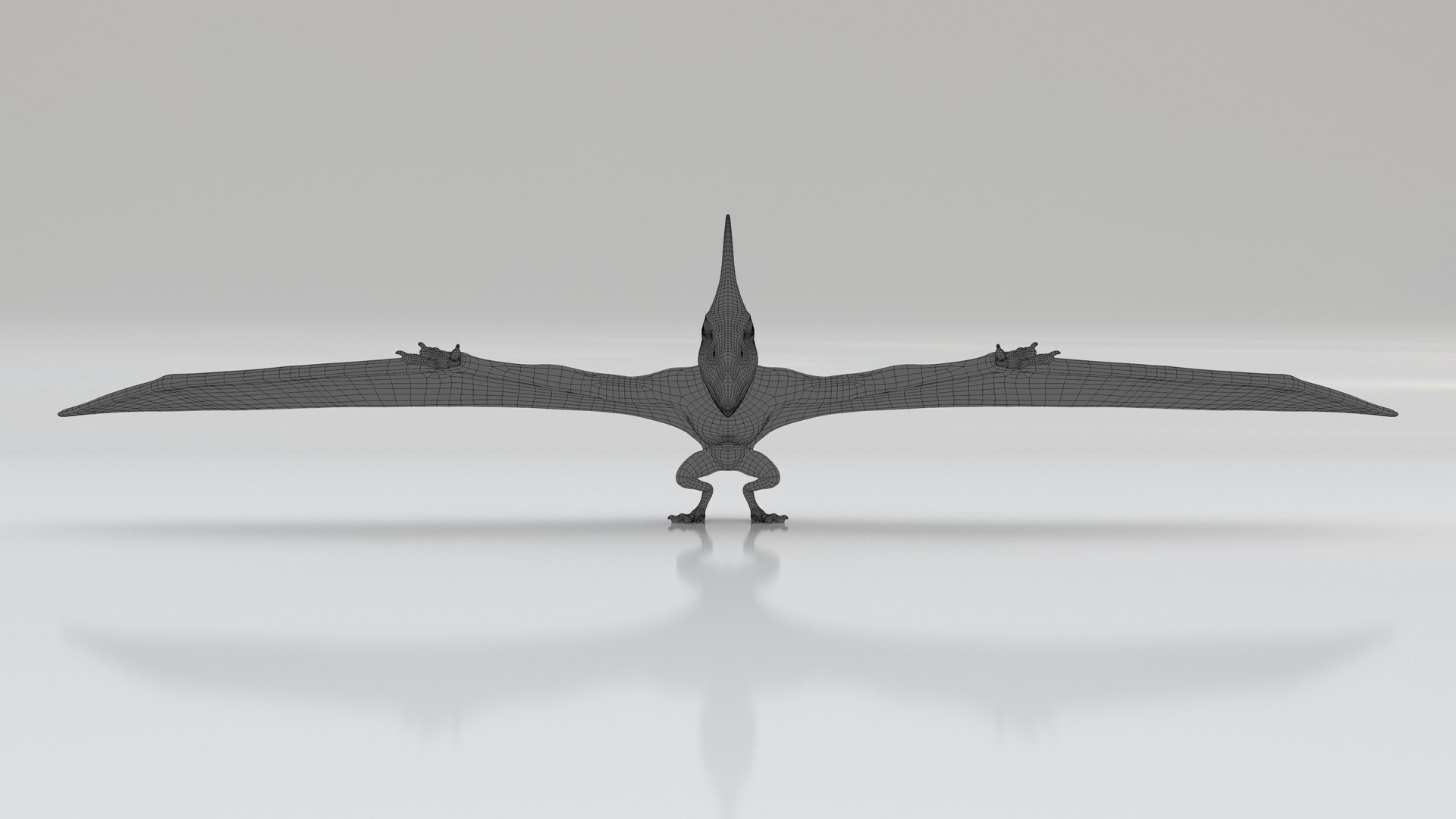3D Pteranodon ANIMATED - TurboSquid 1986562