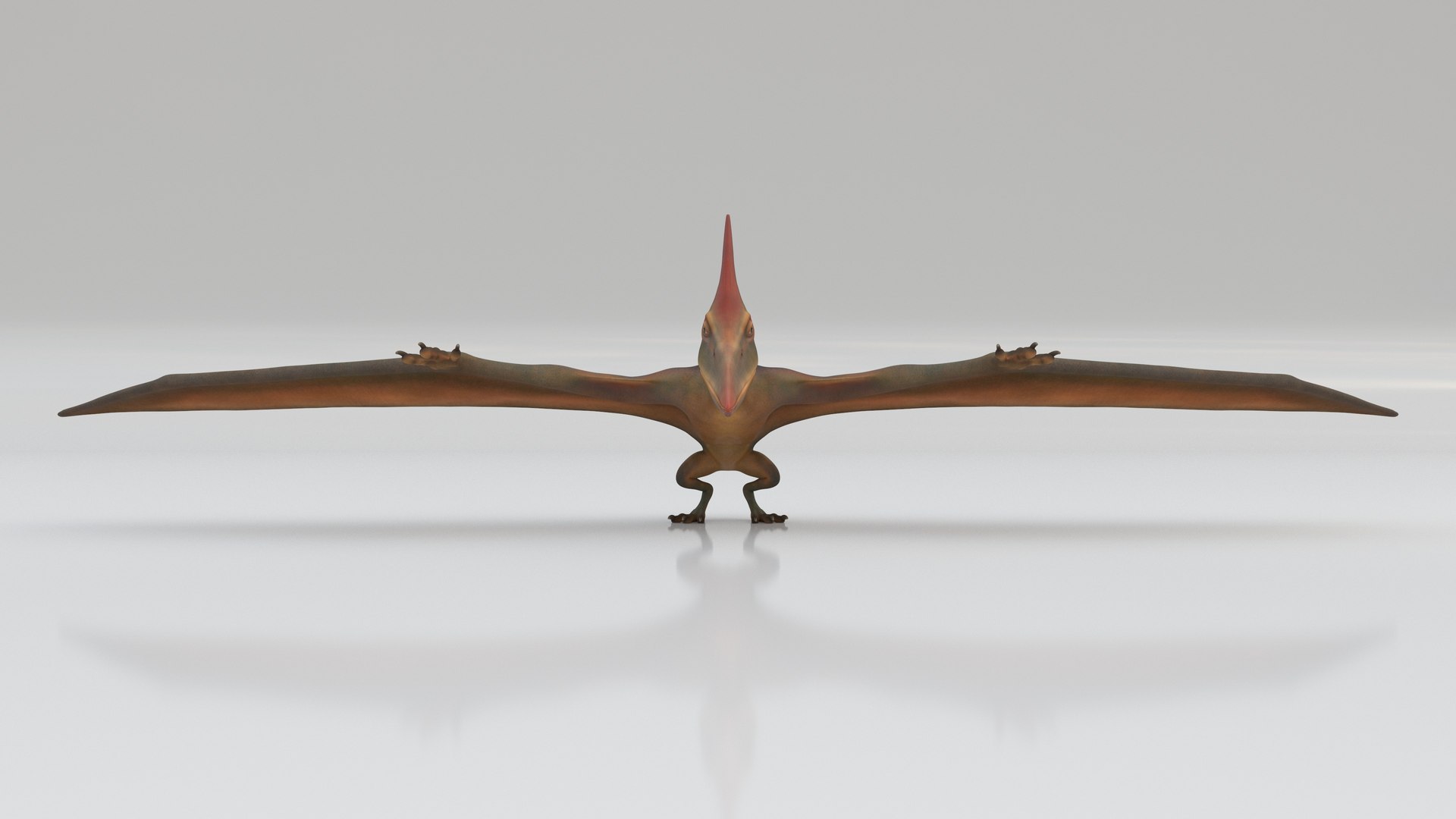 3D Pteranodon ANIMATED - TurboSquid 1986562