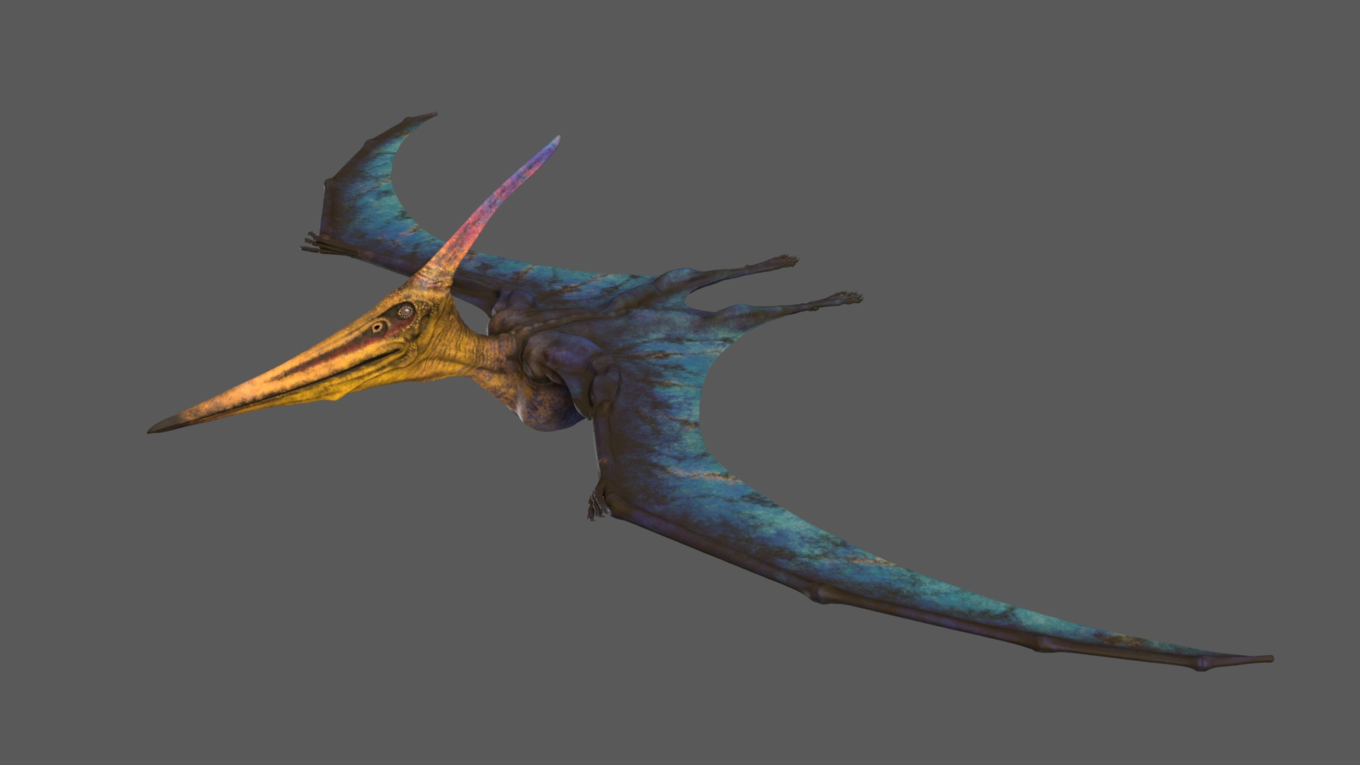 3D Rigged Pteranodon Longiceps Cyan Model - TurboSquid 1519395
